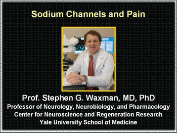 Sodium channels and pain | HSTalks
