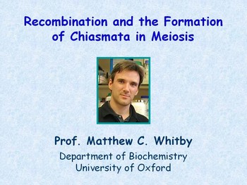 Recombination and the formation of chiasmata in meiosis | HSTalks
