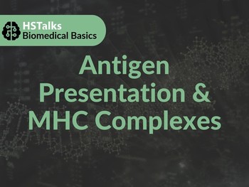 Antigen presentation and MHC complexes | HSTalks
