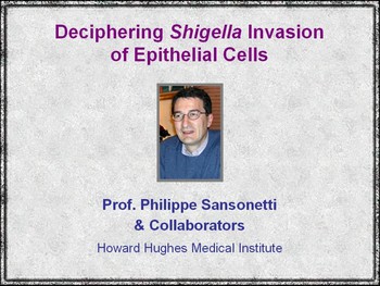Deciphering shigella invasion of epithelial cells | HSTalks