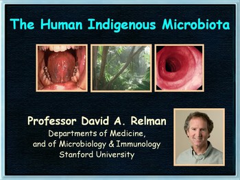 The human indigenous microbiota | HSTalks