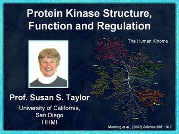 Protein kinase structure, function and regulation | HSTalks