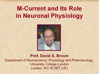 M-current and its role in neuronal physiology | HSTalks