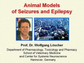 Animal models of seizures and epilepsy | HSTalks