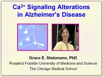 Ca2+ signaling alterations in Alzheimer's disease | HSTalks