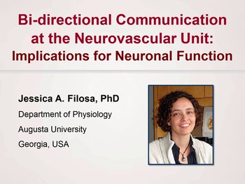 Bi-directional communication at the neurovascular unit: implications ...