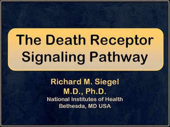 The death receptor signalling pathway | HSTalks