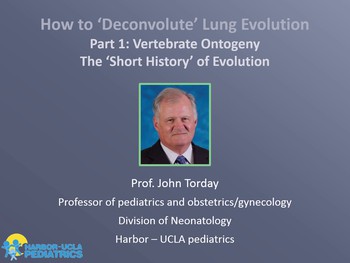 How to ‘deconvolute’ lung evolution - vertebrate ontogeny - the ‘short ...