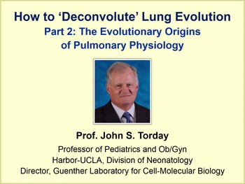 How to ‘deconvolute’ lung evolution - the evolutionary origins of ...