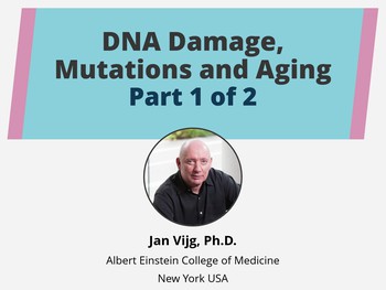 DNA damage, mutations and aging 1 | HSTalks
