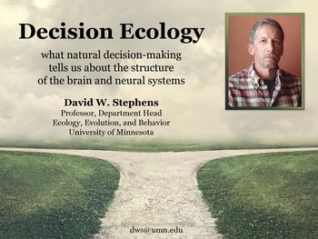 Decision ecology: what natural decision-making tells us about the ...