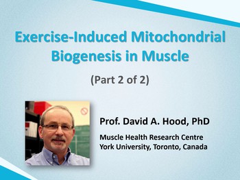 Exercise-induced mitochondrial biogenesis in muscle 2 | HSTalks
