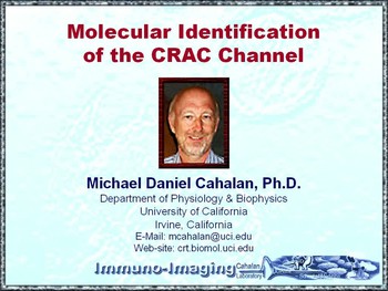 Molecular identification of the CRAC channel | HSTalks