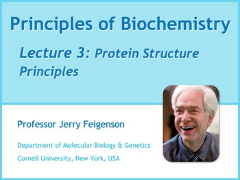 Protein structure principles | HSTalks