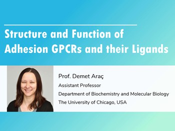 Structure and function of adhesion GPCRs and their ligands | HSTalks