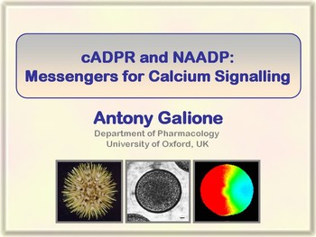 cADPR and NAADP: messengers for calcium signalling | HSTalks