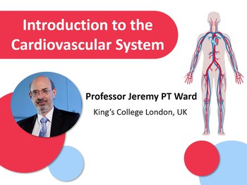 Introduction to the cardiovascular system | HSTalks