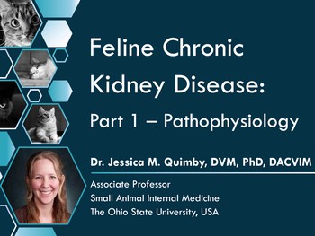 Feline chronic kidney disease: pathophysiology | HSTalks