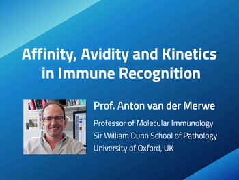 Affinity, avidity and kinetics in immune recognition | HSTalks