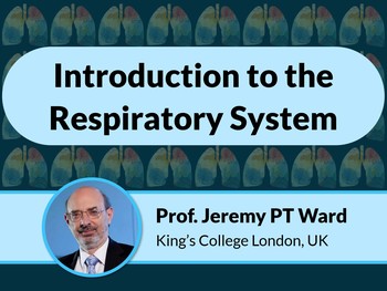 Introduction to the respiratory system | HSTalks