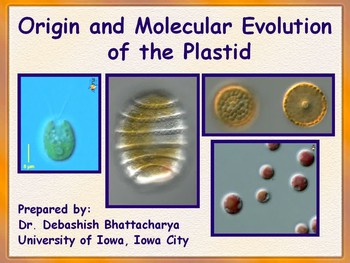Origin and molecular evolution of the plastid | HSTalks