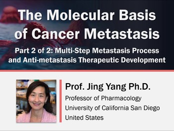 The molecular basis of cancer metastasis: multi-step metastasis process ...