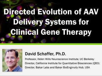 Directed evolution of AAV delivery systems for clinical gene therapy ...