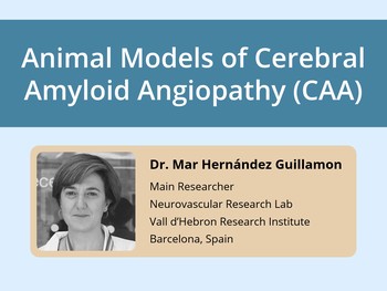 Animal models of cerebral amyloid angiopathy (CAA) | HSTalks