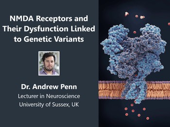 NMDA receptors and their dysfunction linked to genetic variants | HSTalks