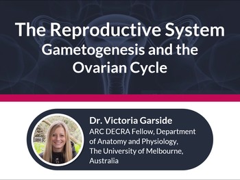 The reproductive system: gametogenesis and the ovarian cycle | HSTalks