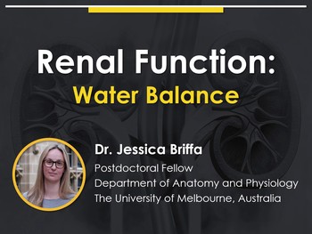 Renal function: water balance | HSTalks