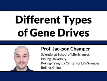 Different types of gene drives | HSTalks