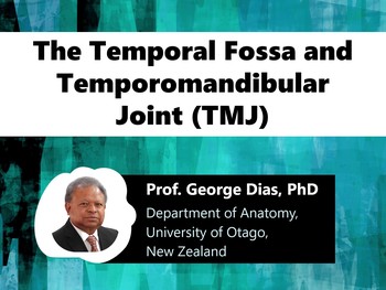 The temporal fossa and temporomandibular joint (TMJ) | HSTalks
