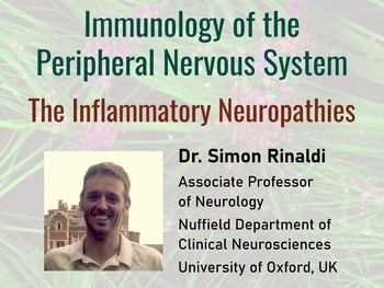 Immunology of the peripheral nervous system: the inflammatory ...