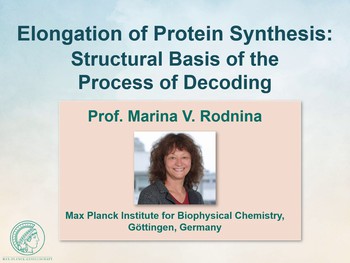 Elongation of protein synthesis: structural basis of the process of ...