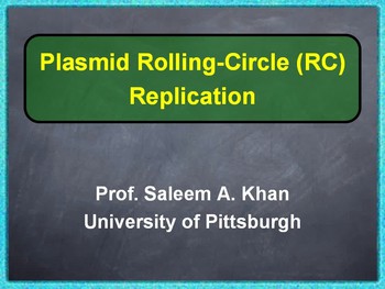 Plasmid rolling-circle (RC) replication | HSTalks