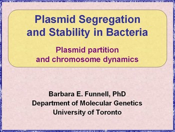 Plasmid segregation and stability in bacteria | HSTalks