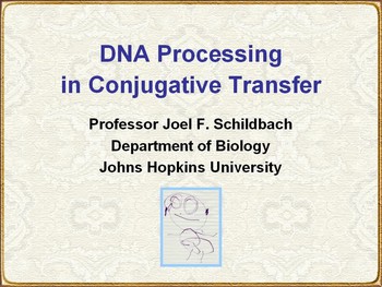 DNA processing in conjugative transfer | HSTalks