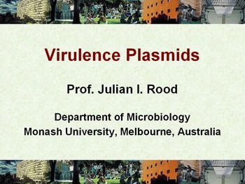 Virulence plasmids | HSTalks
