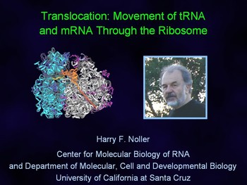 Translocation: movement of tRNA and mRNA through the ribosome | HSTalks