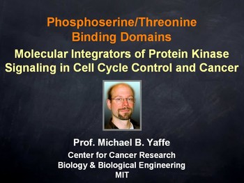 Phosphoserine/threonine binding domains: molecular integrators of ...